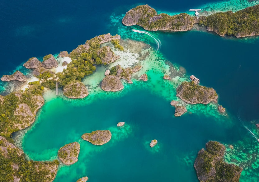 Biak Island – Woodchuck USA