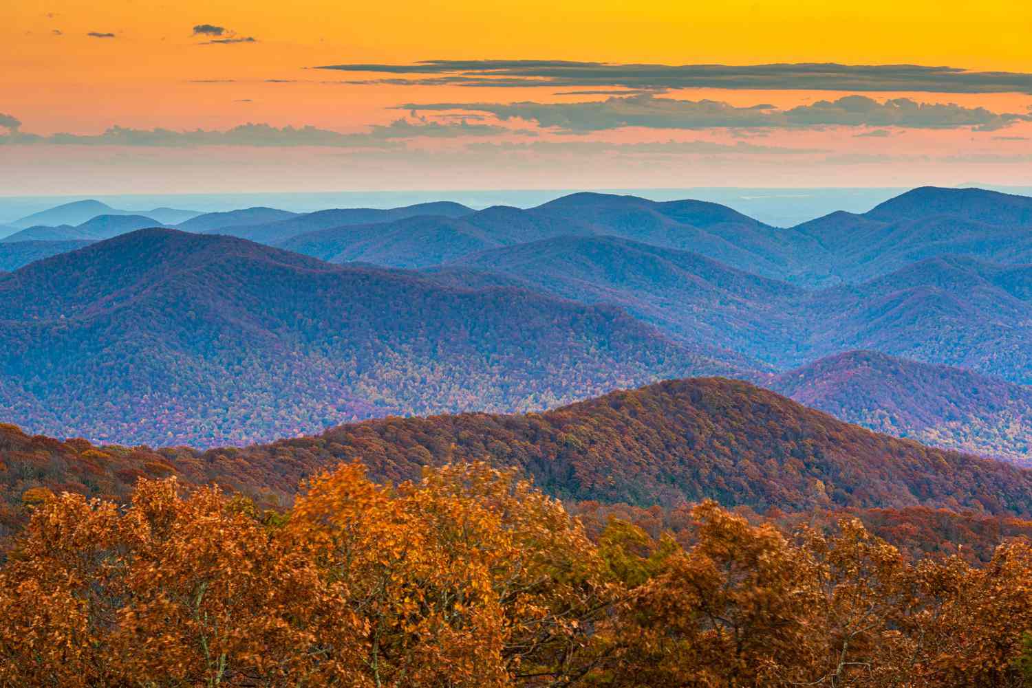 Chattahoochee-Oconee National Forest (GA) – Woodchuck USA