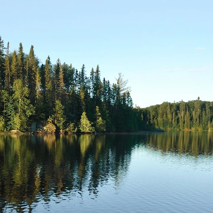 Cushing – Woodchuck USA