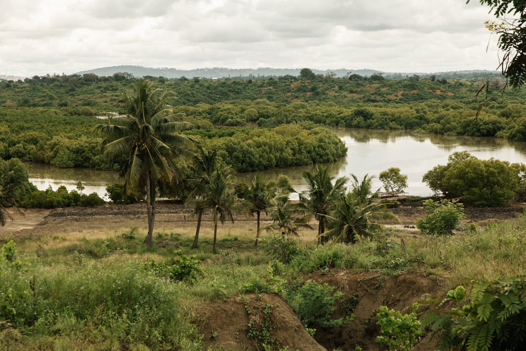 Kwale Kenya – Woodchuck USA